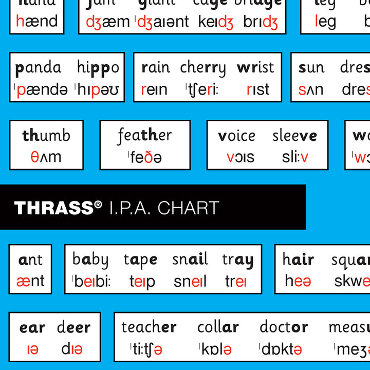 Charts & Floormats – TheTHRASSInstitute